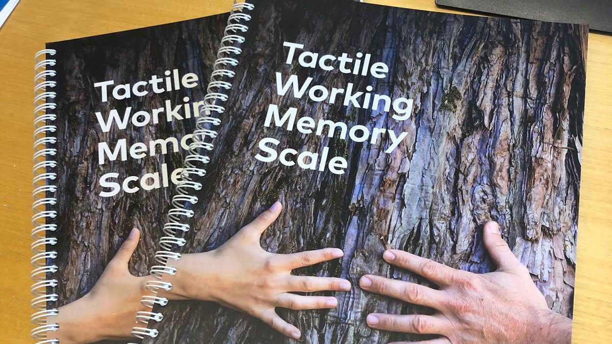 Tactile Working Memory Scale – A Professional Manual | NVC