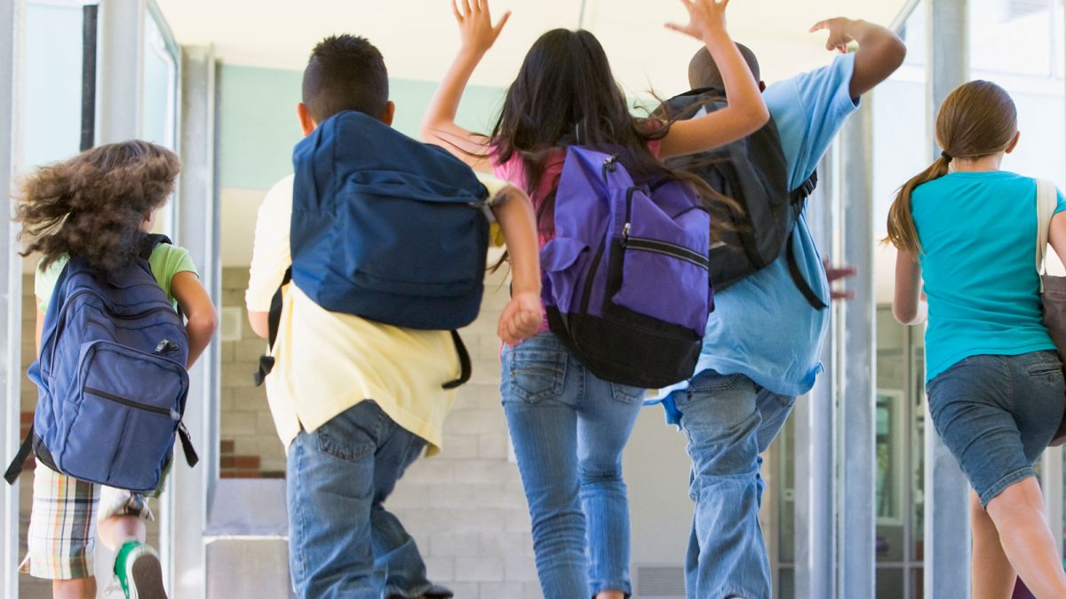 Current knowledge about welfare issues in the Nordic region | NVC