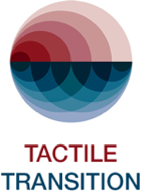 Tactile transition – experiences shared by persons with acquired ...